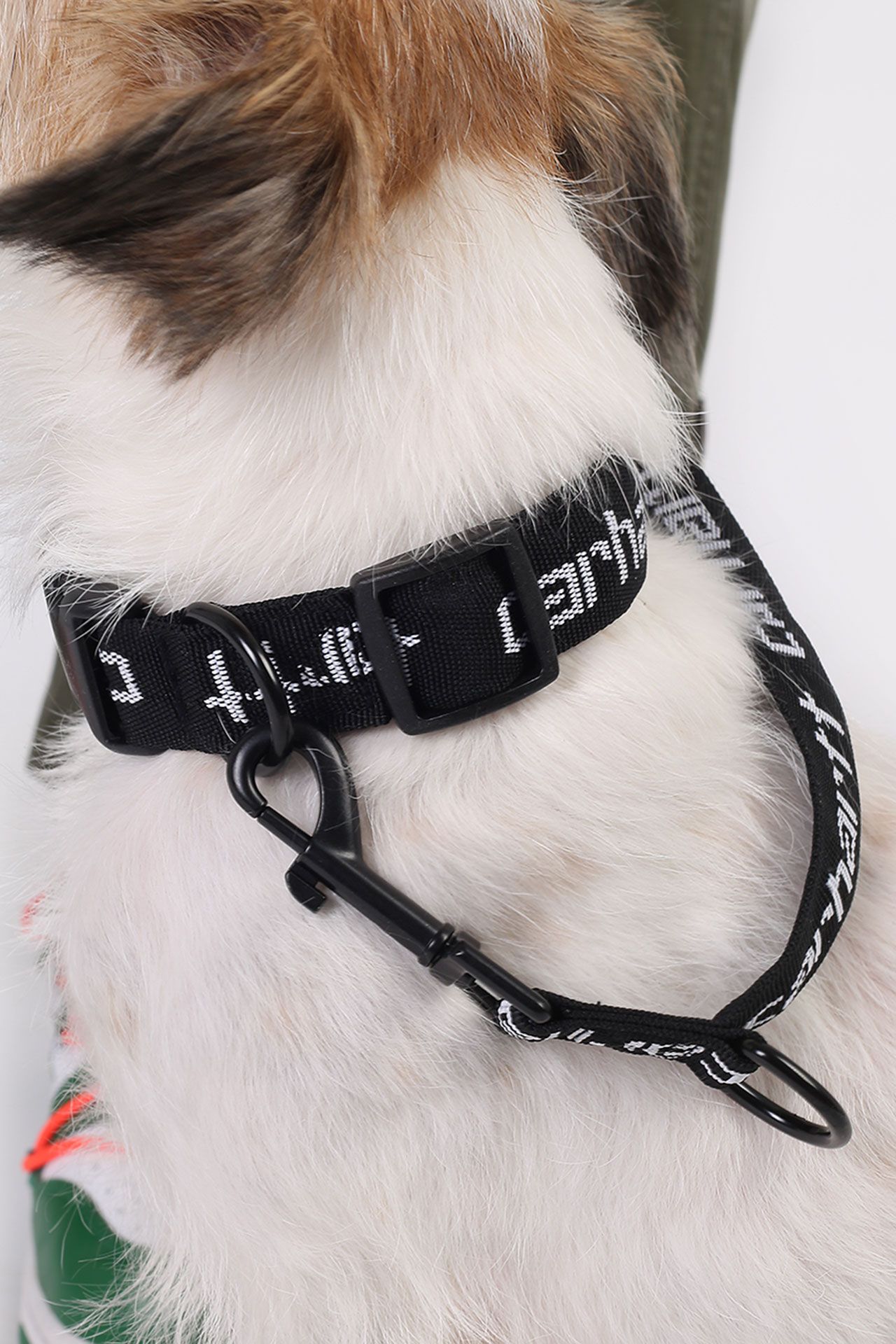 Ошейник, поводок Carhartt WIP Script Dog Leash&Collar (I030251-black/white) - купить оригинал в ...